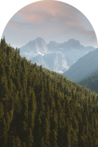 Madera de acacia: propiedades y uso en carpintería - Carpintek